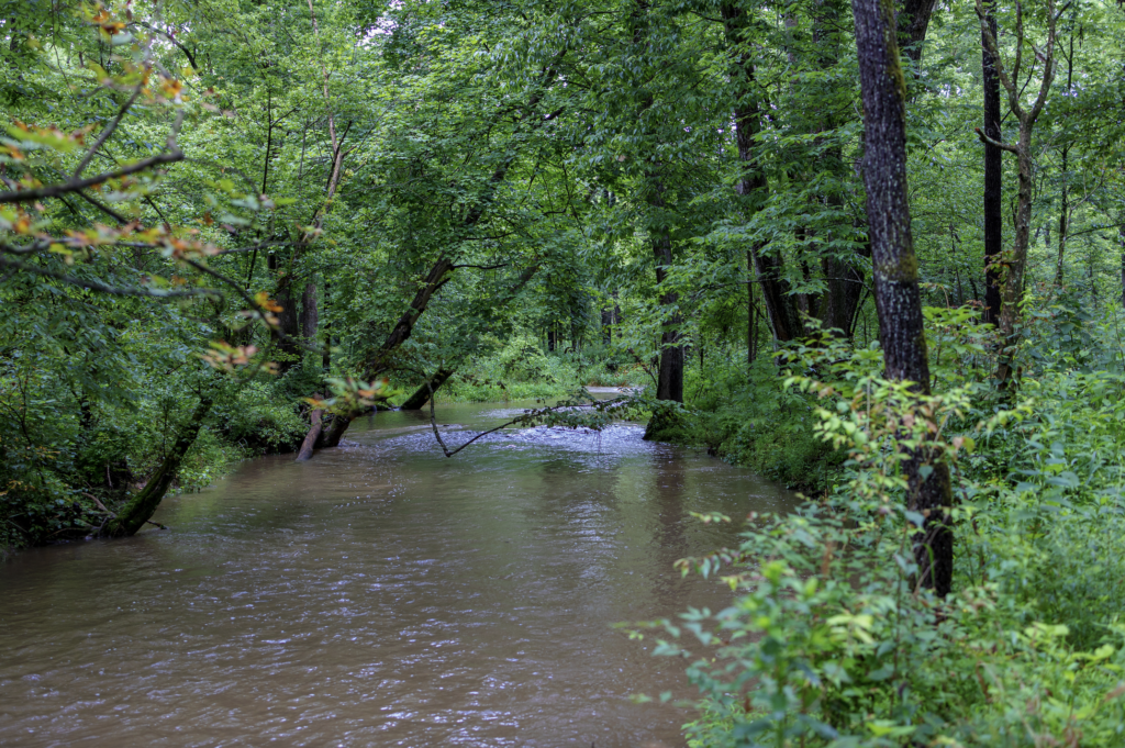 Little Miami Watershed Network – Speak for the River
